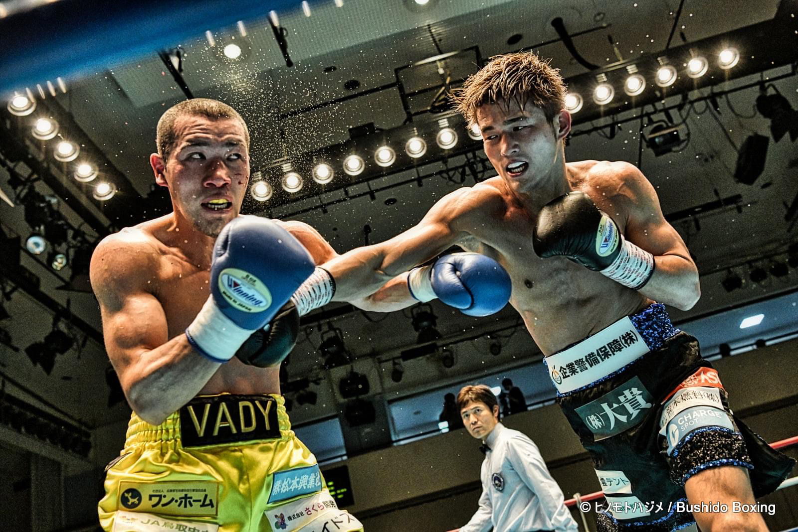 三代 大訓 オフィシャルサイト